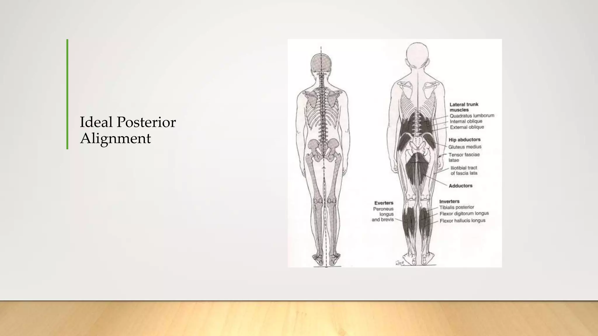 Postural Analysis .ppt