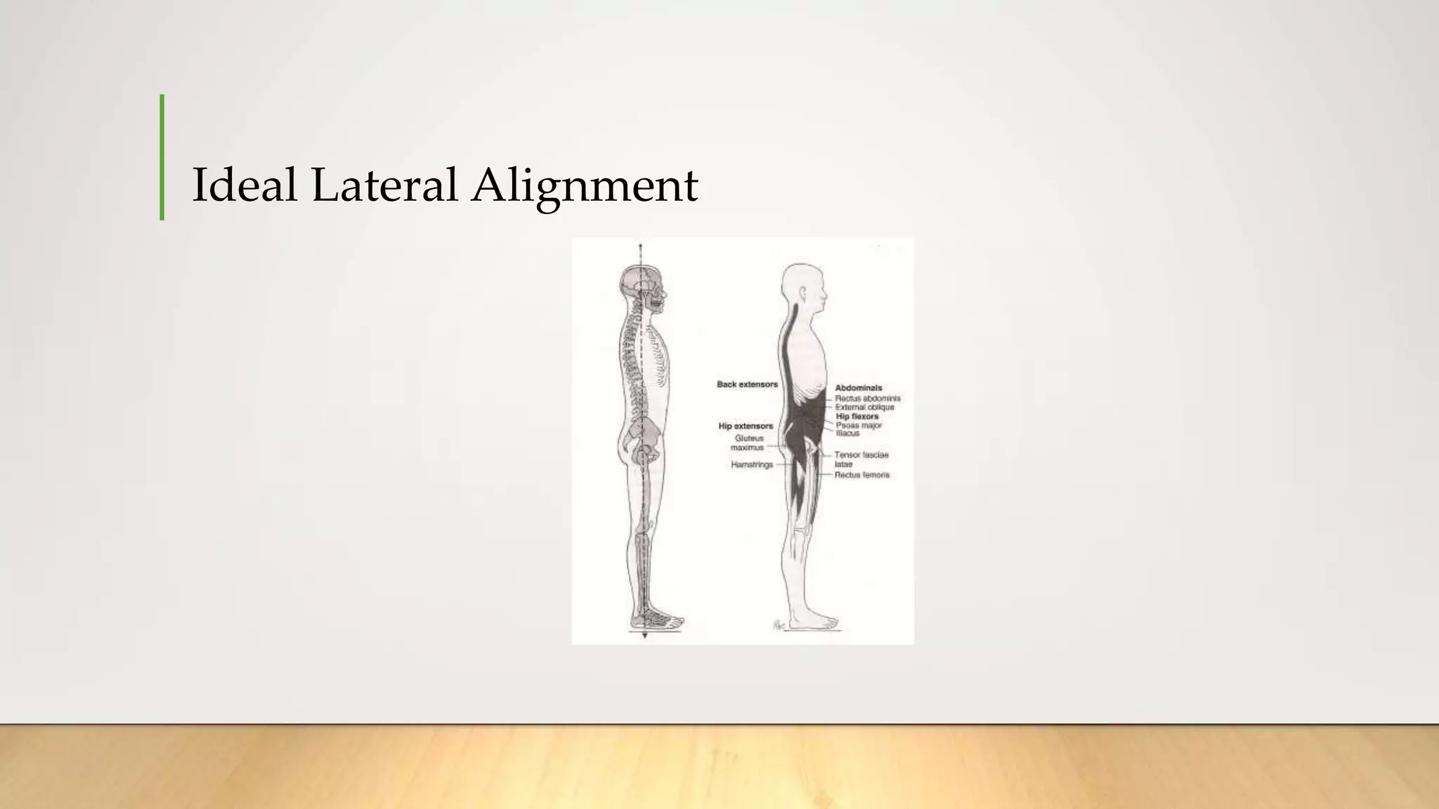 Postural Analysis .ppt