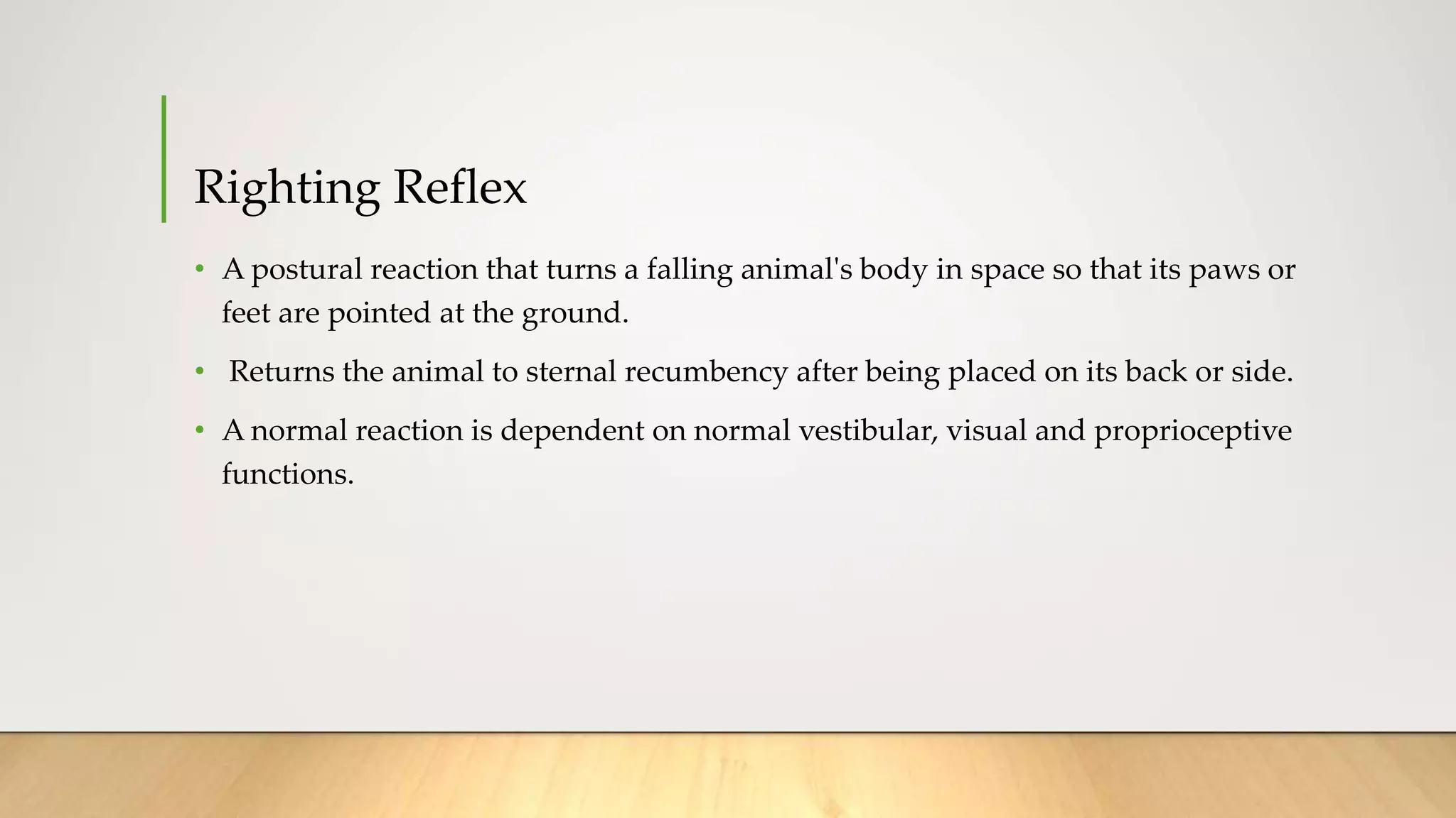 Postural Analysis .ppt