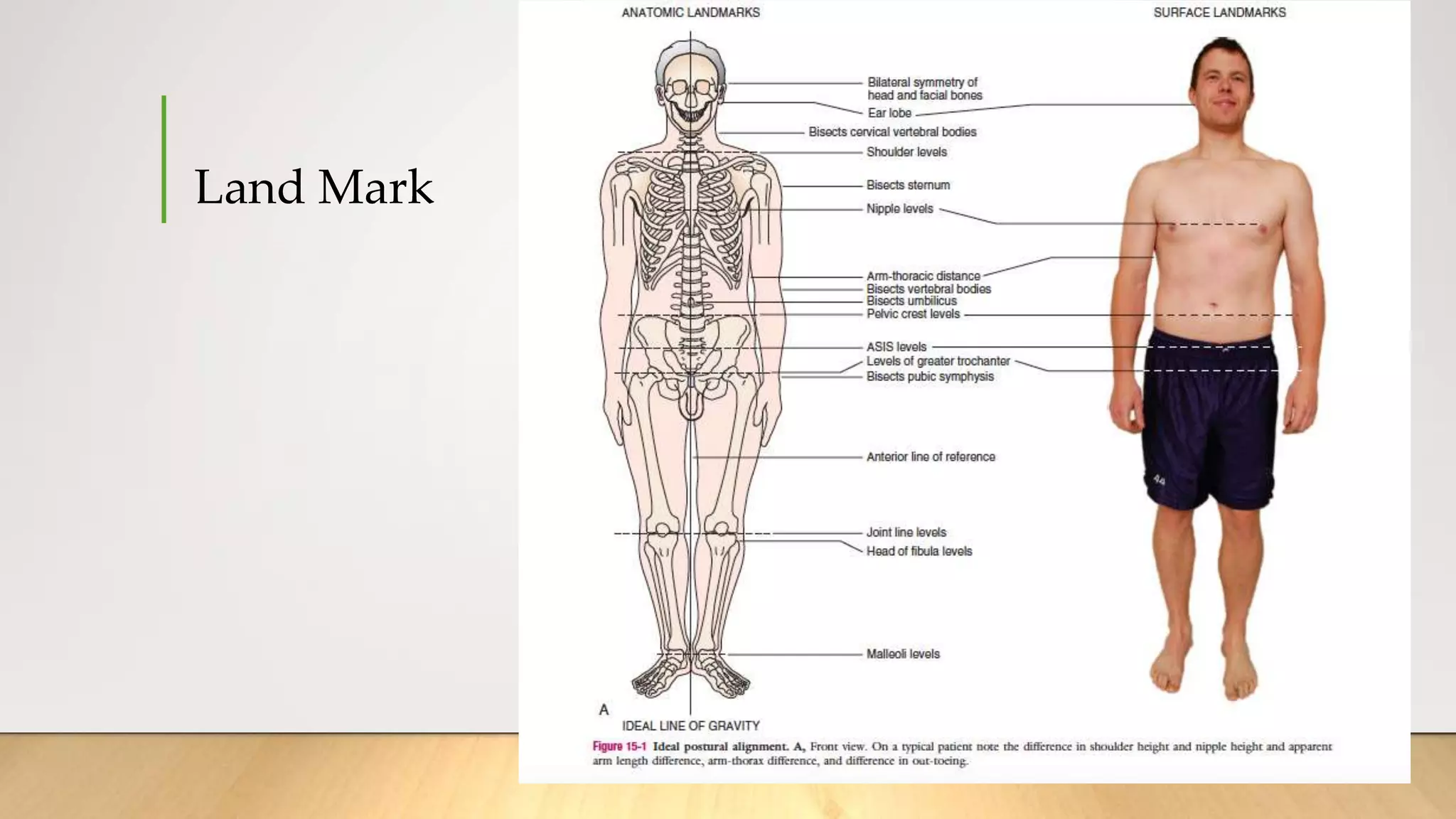 Postural Analysis .ppt