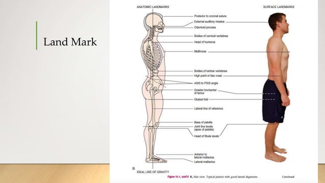 Postural Analysis .ppt