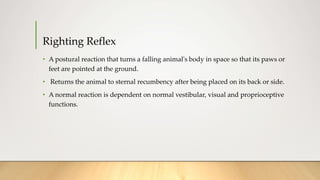 Postural Analysis .ppt