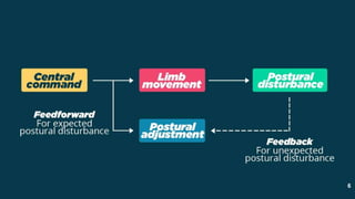 Postural Control from theory to practice.pptx