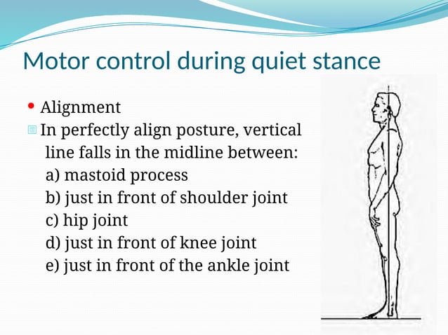 Presentation on Balance and Postural Control.pptx
