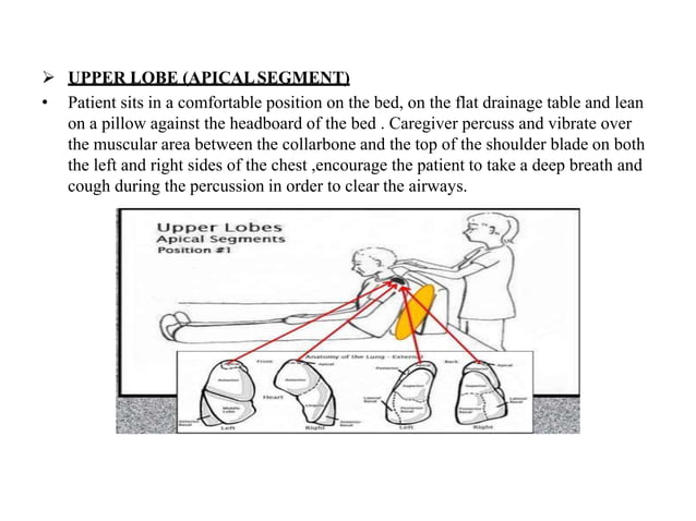 postural drainage.pptx | Lung and Respiratory Health | Diseases and ...