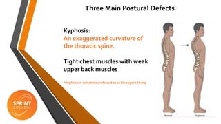 Postural Issues and Body Types | PPT
