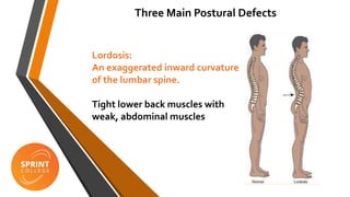 Postural Issues and Body Types | PPT