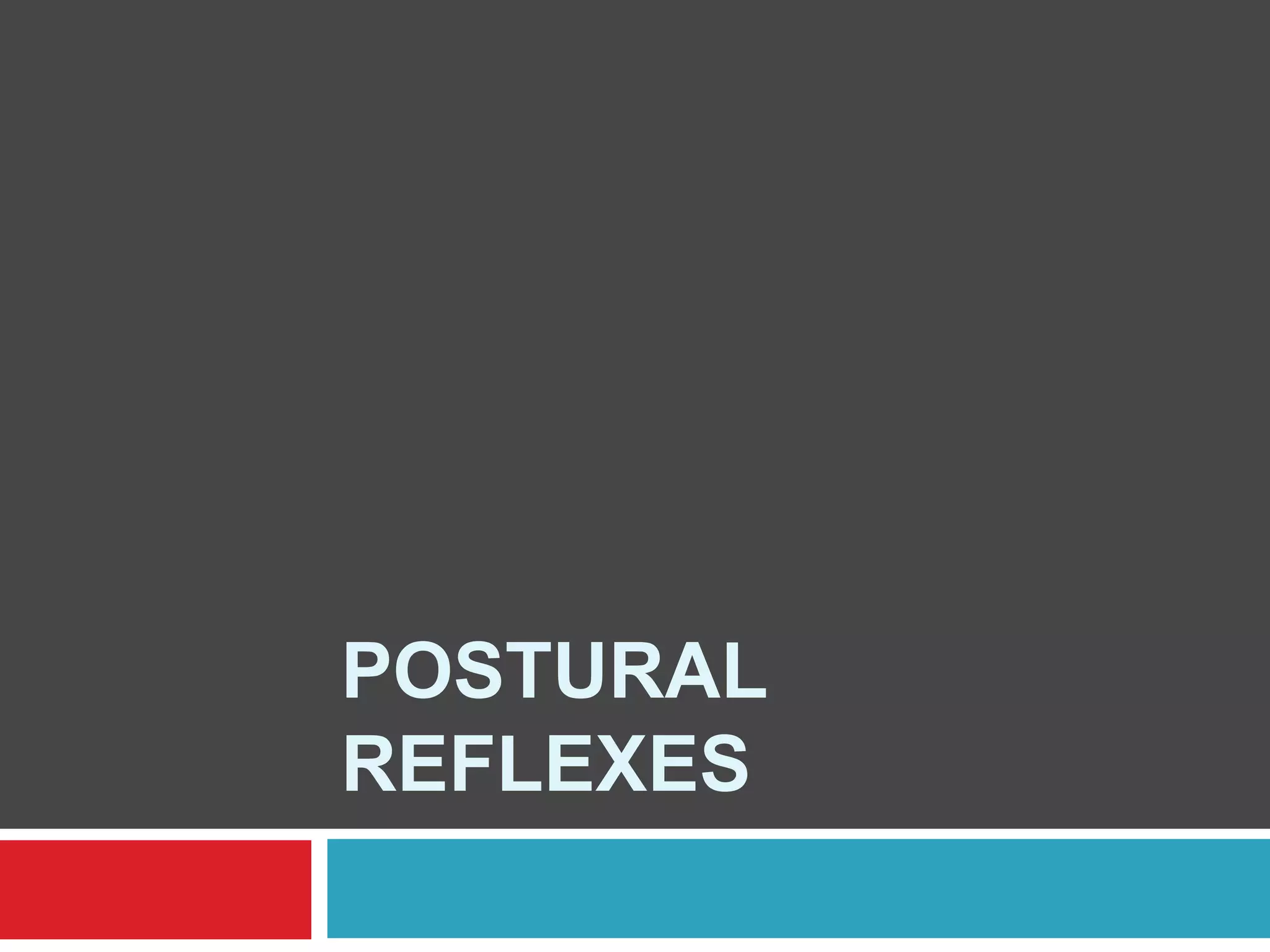 Postural reflexes copy | PPTX