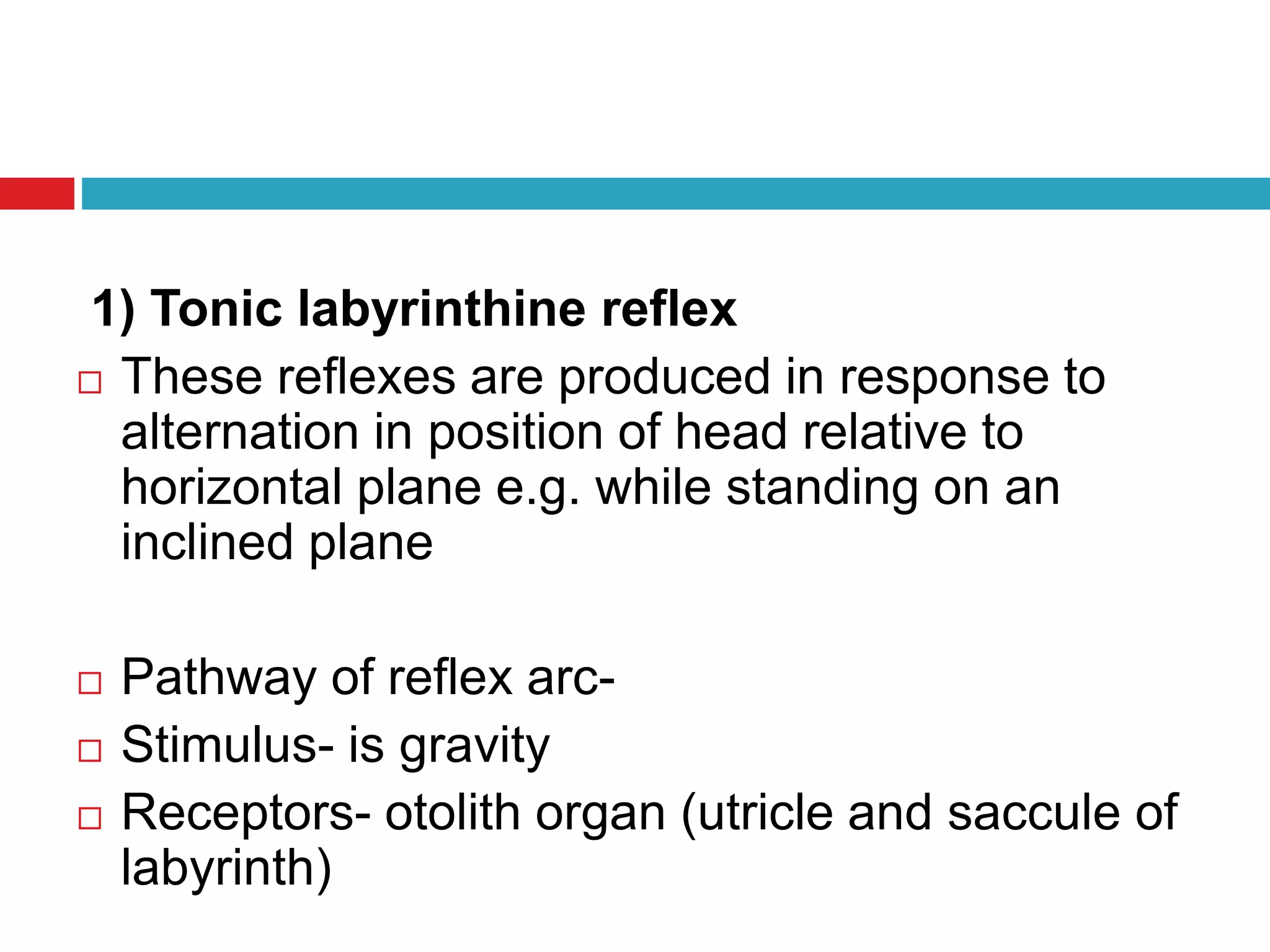 Postural reflexes copy | PPTX
