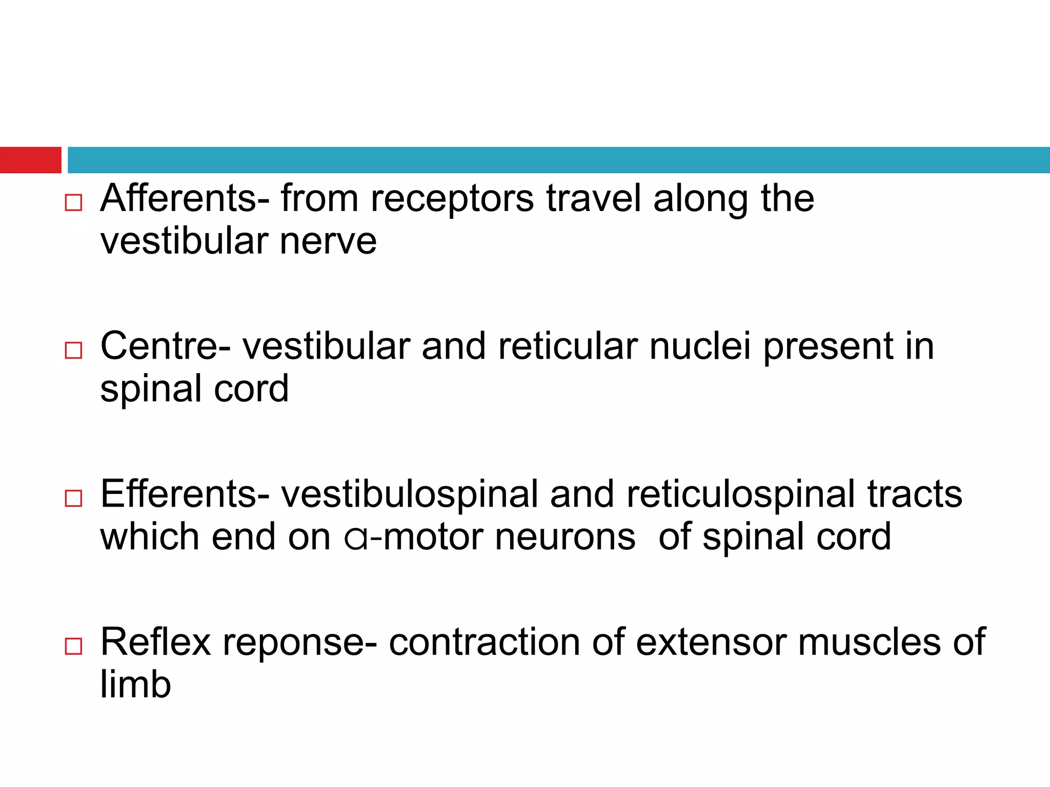 Postural reflexes copy | PPTX