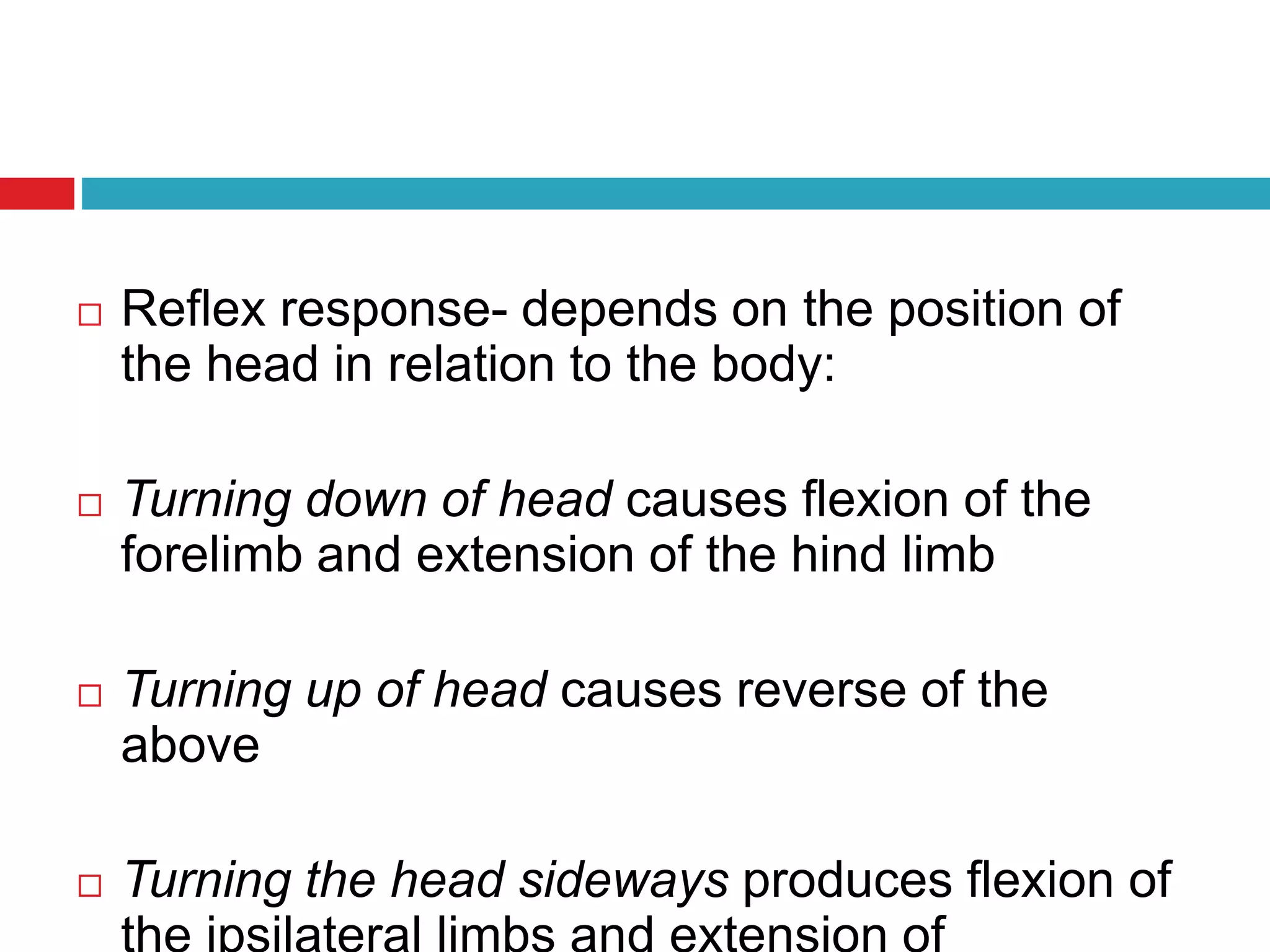 Postural reflexes copy | PPTX