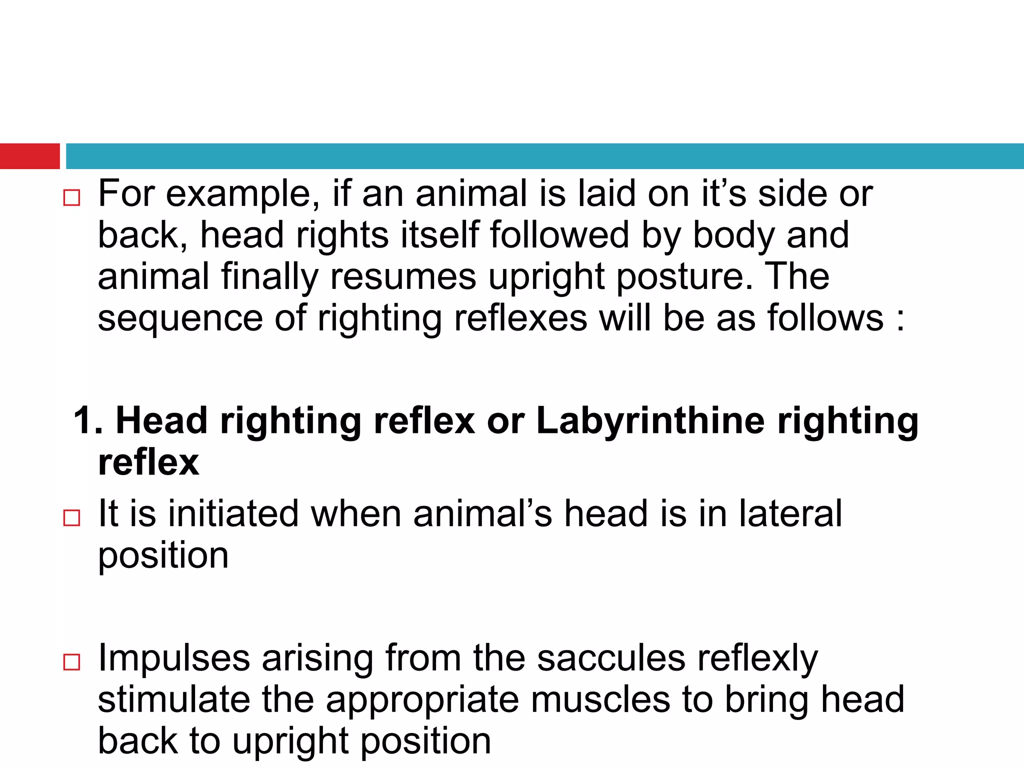 Postural reflexes copy | PPTX