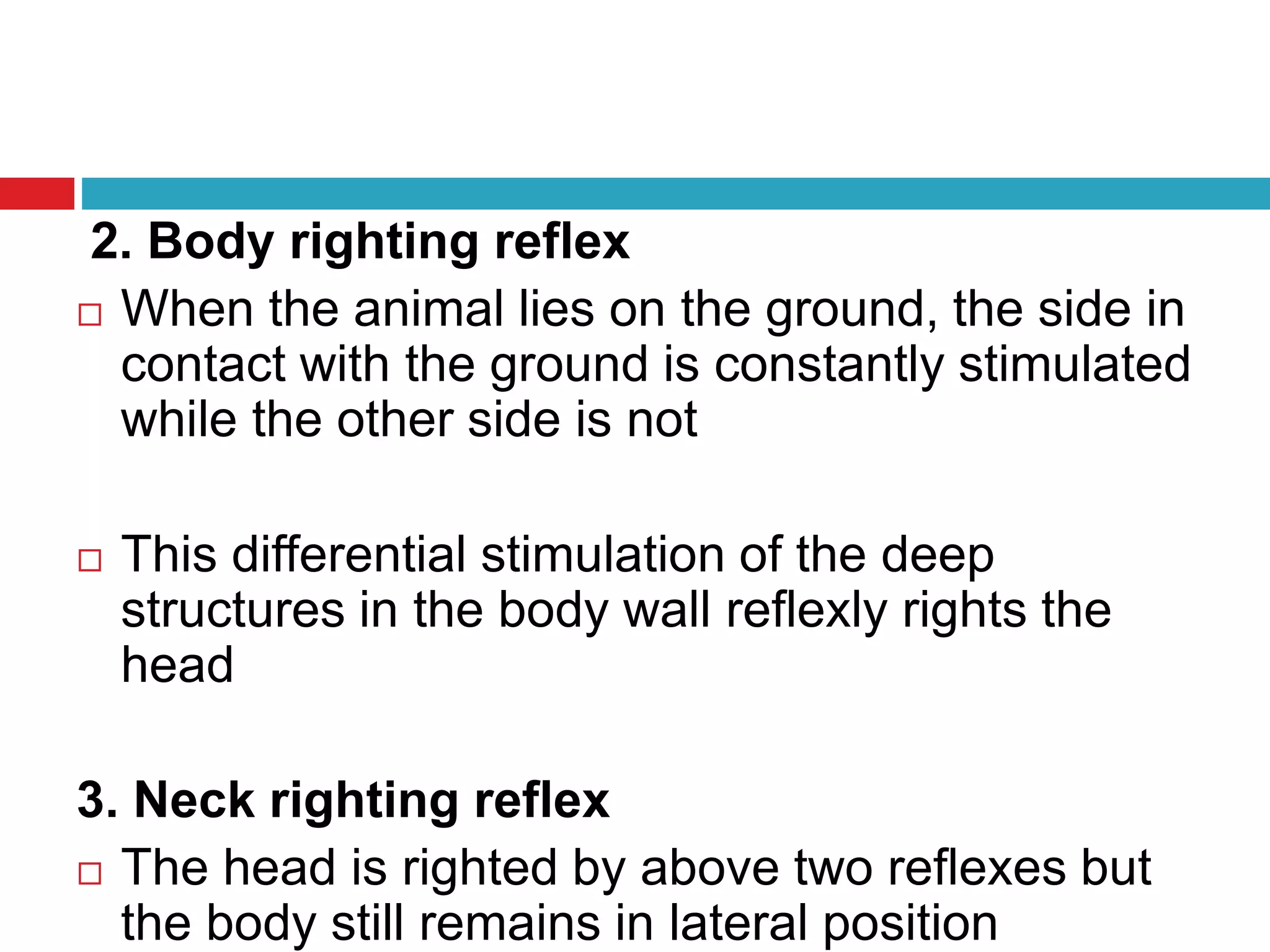 Postural reflexes copy | PPTX