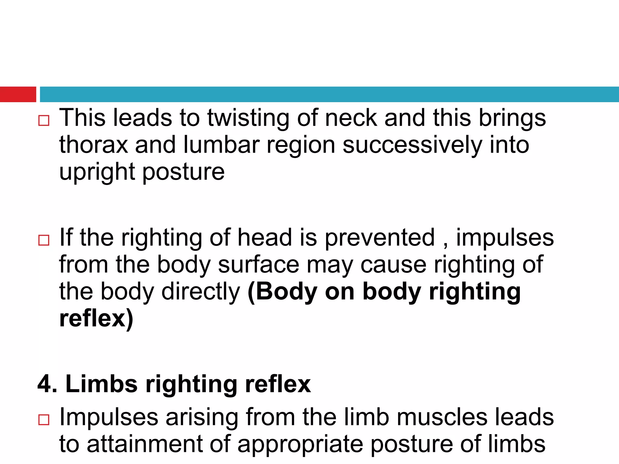 Postural reflexes copy | PPTX