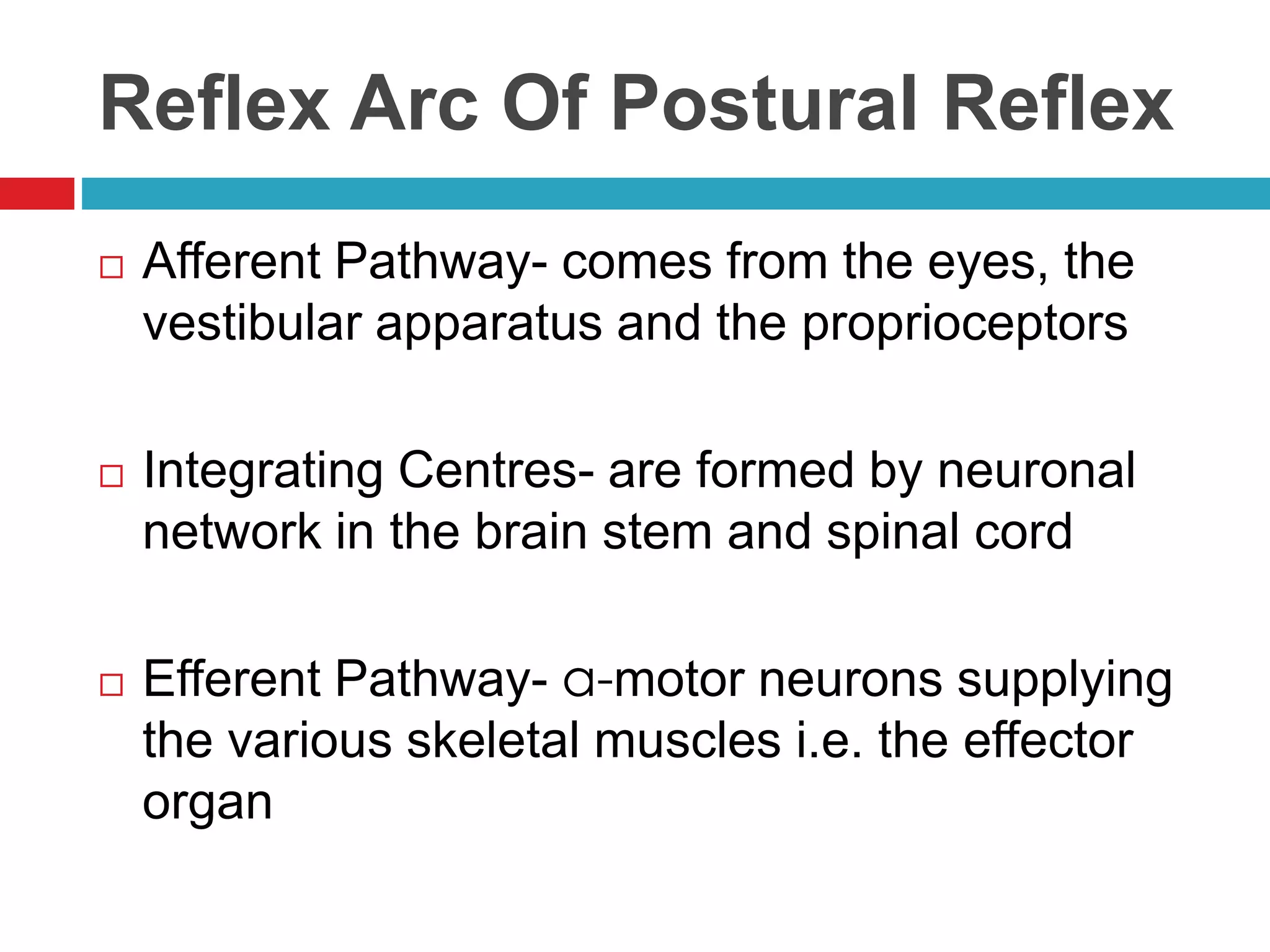 Postural reflexes copy | PPTX