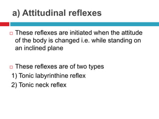 Postural reflexes copy | PPTX