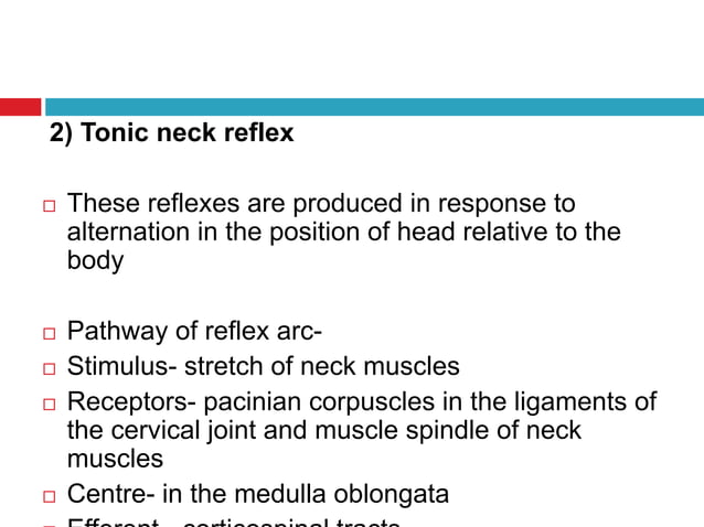 Postural reflexes copy | PPTX