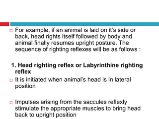 Postural reflexes copy | PPTX