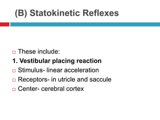 Postural reflexes copy | PPTX