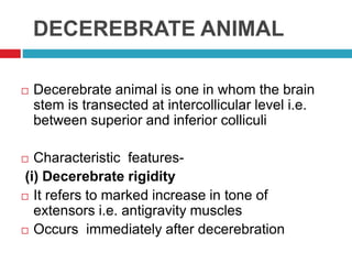 Postural reflexes copy | PPTX