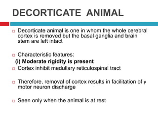 Postural reflexes copy | PPTX