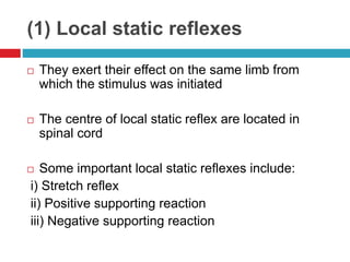 Postural reflexes copy | PPTX