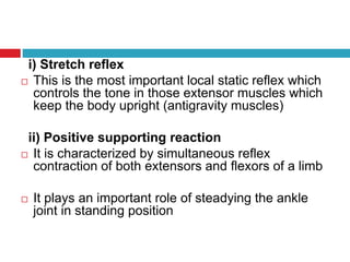 Postural reflexes copy | PPTX