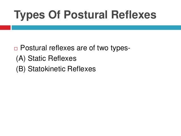 Postural reflexes copy