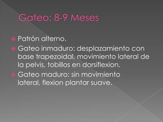 Posturas del recién nacido | PPTX