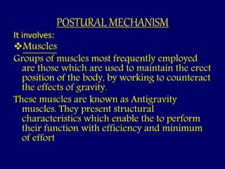 Posture | PPTX | Physical Therapy | Wellness