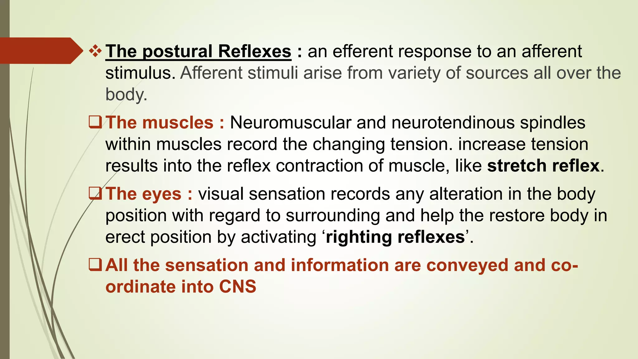 Posture- Physical Therapy [VNSGU] | PPTX