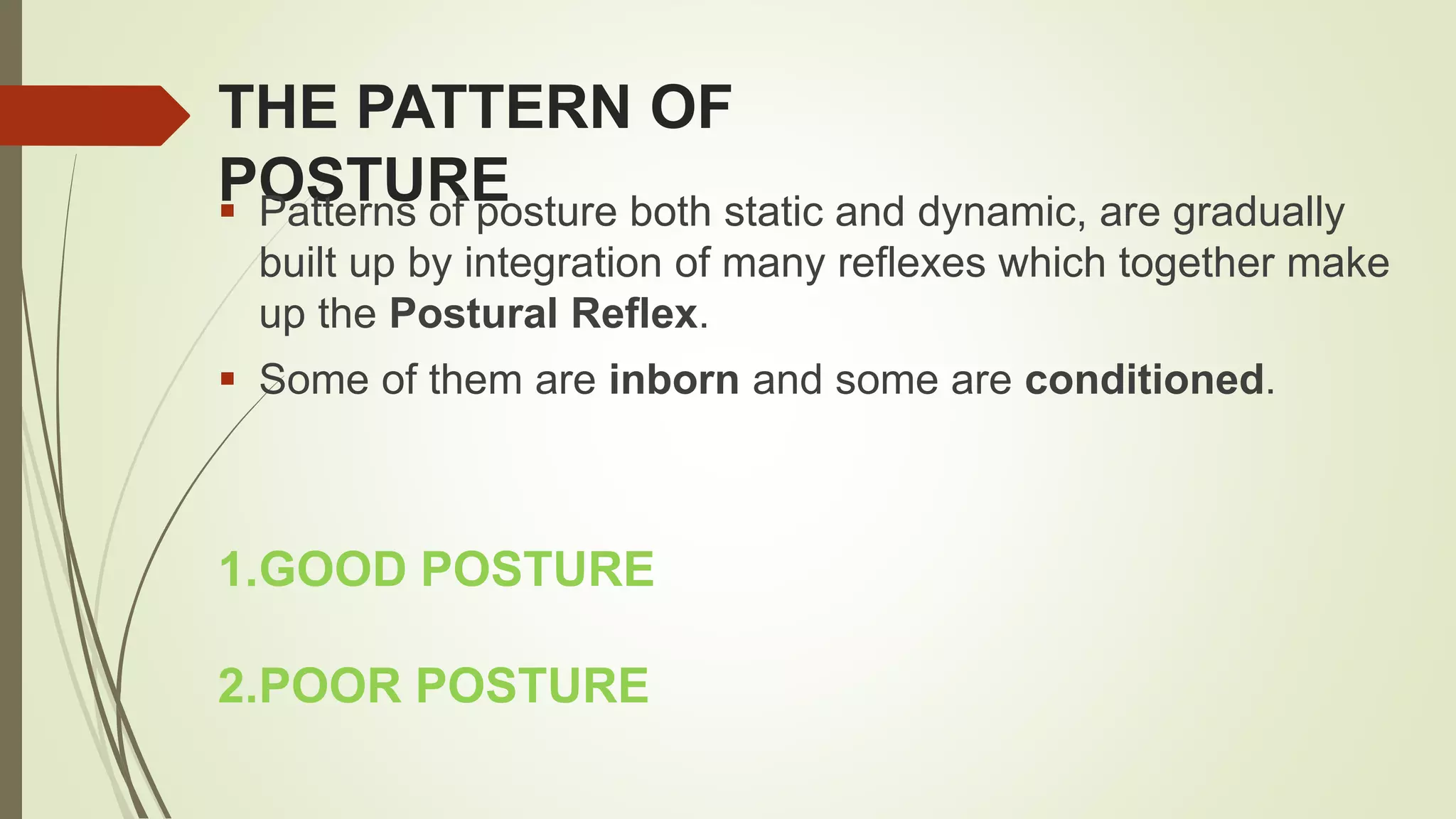 Posture- Physical Therapy [VNSGU] | PPTX