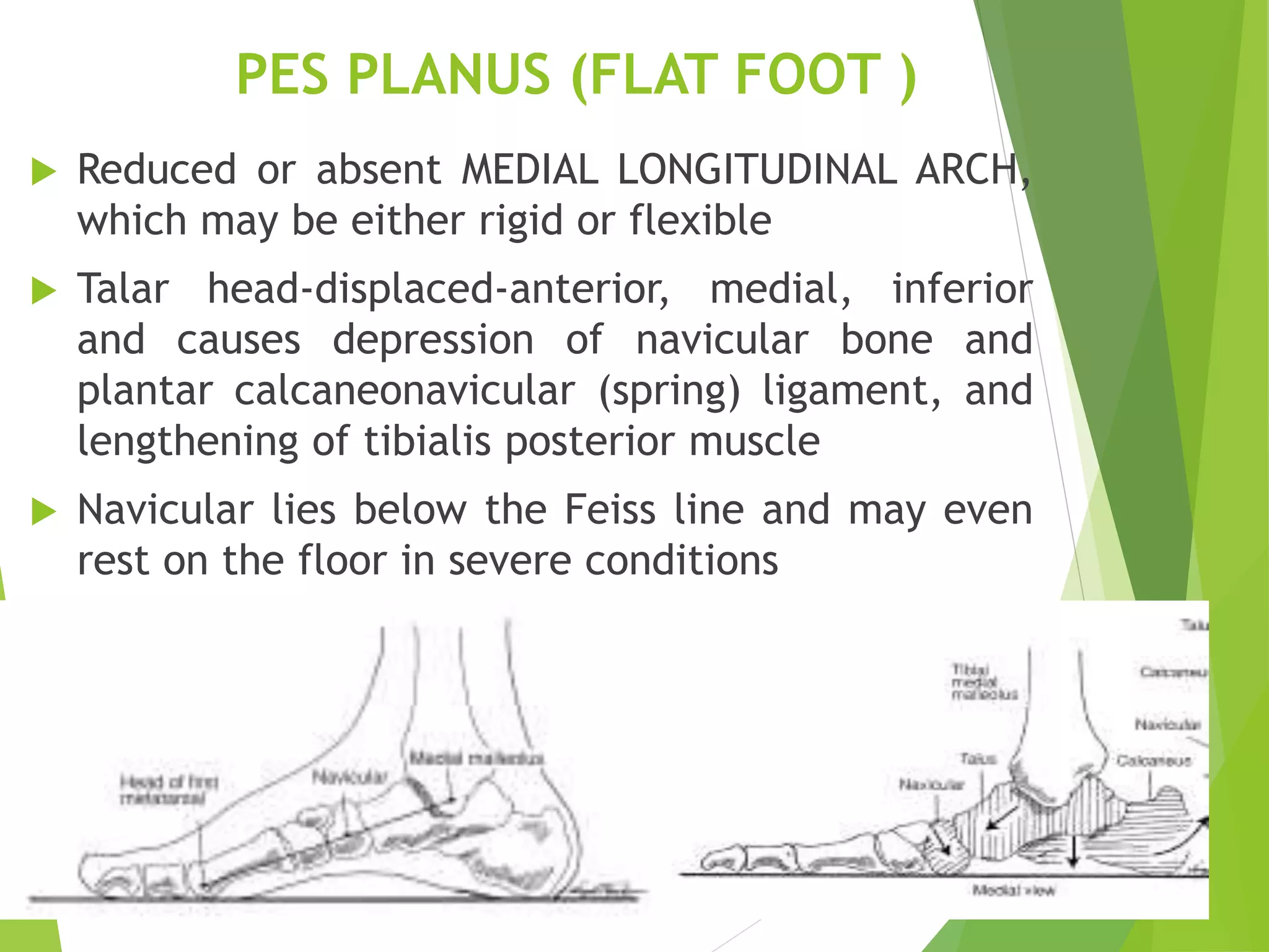 Biomechanics of Posture | PPTX