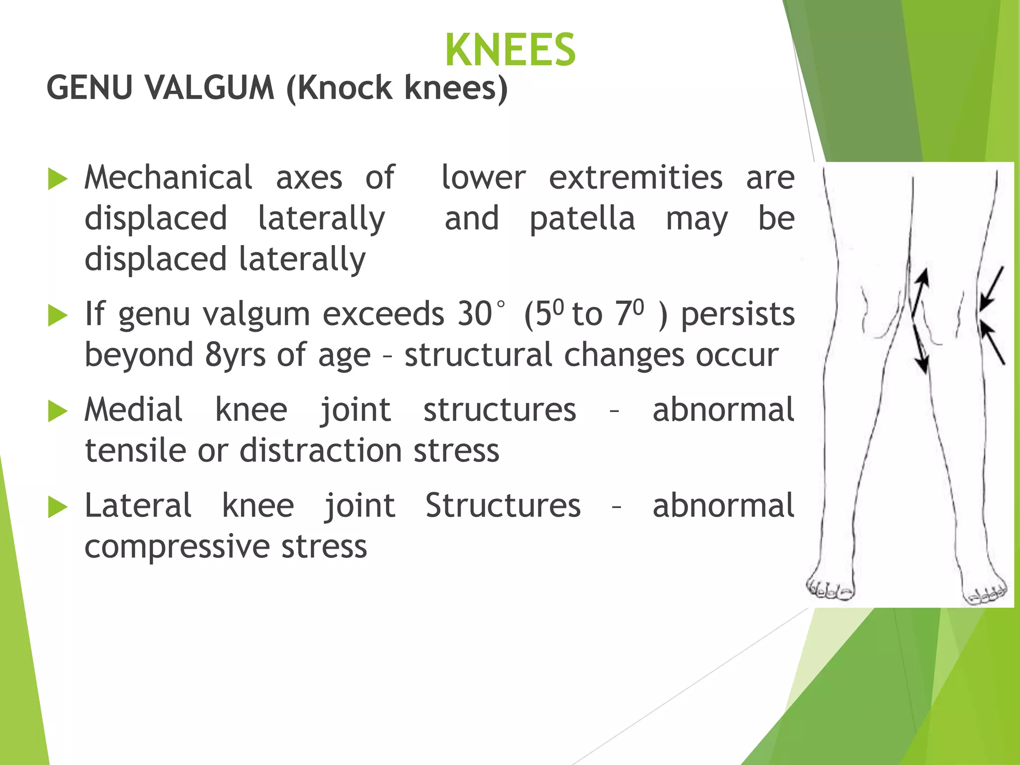 Biomechanics of Posture | PPTX