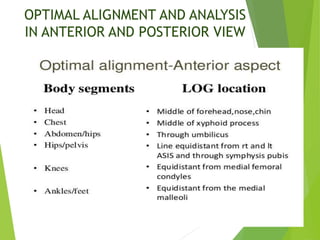 Biomechanics of Posture | PPTX