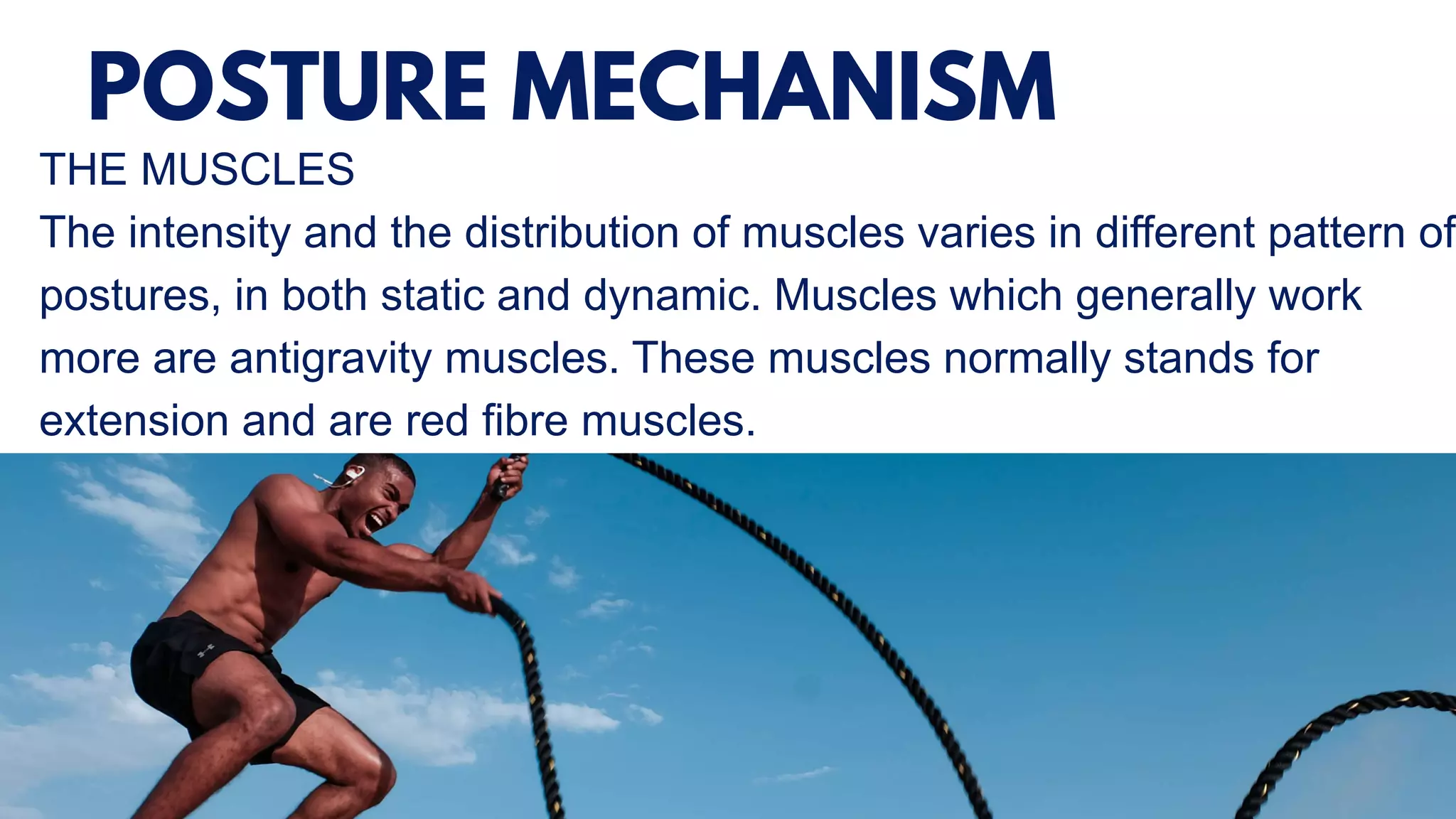 Posture for Physical Therapy Students | PPTX