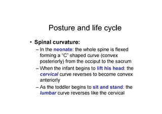 posture.2....pdf