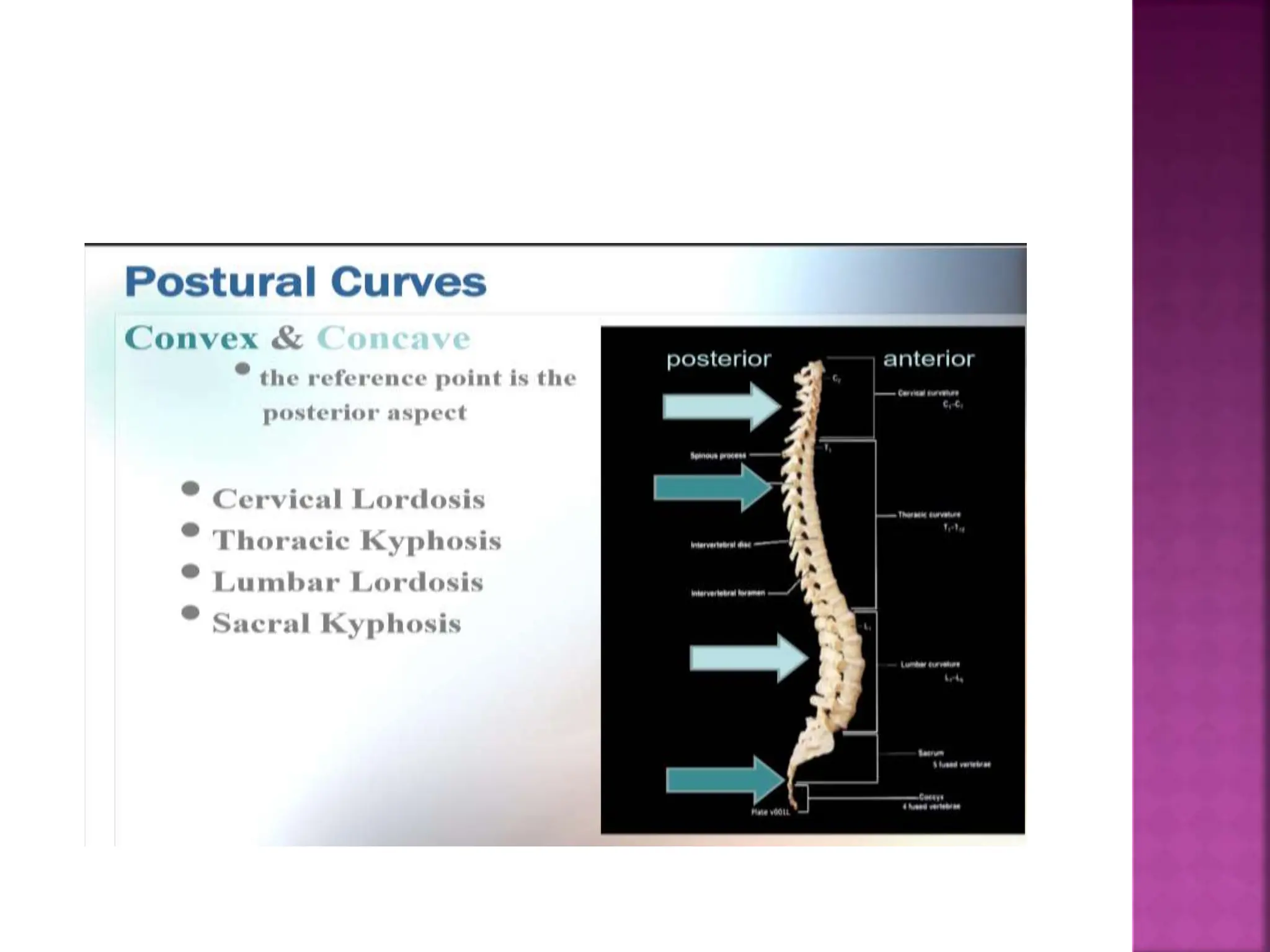 Posture analysis for physical therapists.pptx