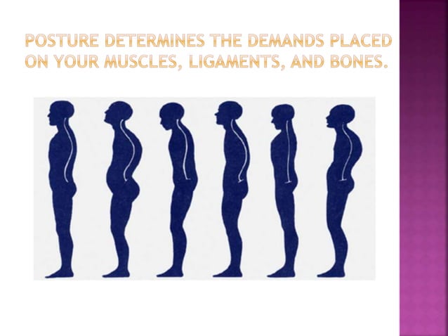 Posture analysis for physical therapists.pptx | Death, Injury, or Military Conflict | Sensitive ...