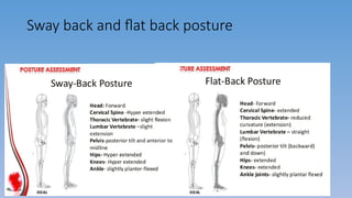POSTURE.pptxiighhhhgghhgffghuuhggttdfggh | PPT | Free Download