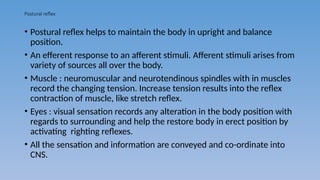 POSTURE.pptxiighhhhgghhgffghuuhggttdfggh | PPT