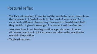 POSTURE.pptxiighhhhgghhgffghuuhggttdfggh | PPT | Free Download