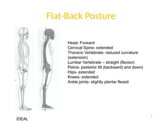 Various posture and spinal deformities.pptx