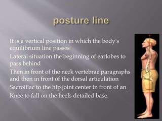 Posture القوام | PPTX