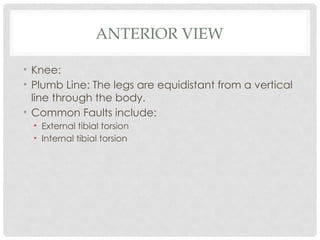 postureanalysis-131120080537-phpapp02.pptx