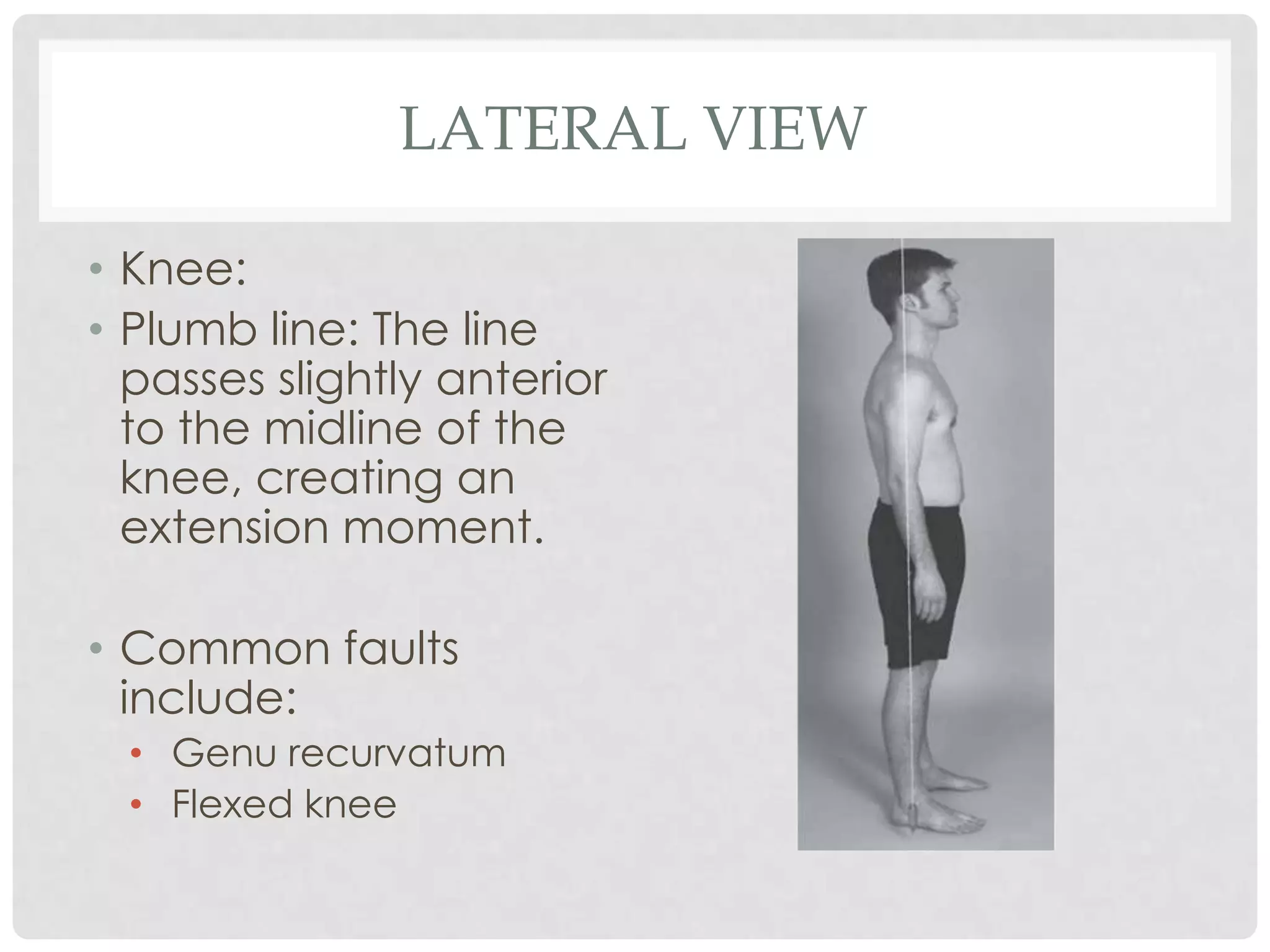 Posture analysis | PPTX
