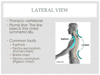 Posture analysis | PPTX