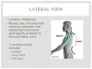 Posture analysis | PPTX