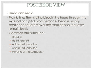 Posture analysis | PPTX