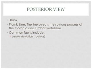 Posture analysis | PPTX